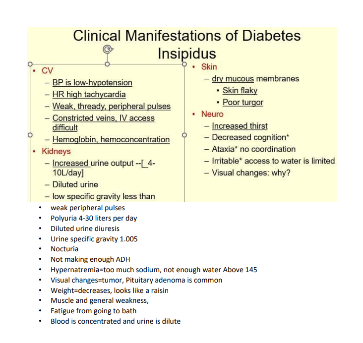 Diabetes Insipidus (DI) PATHOPHYSIOLOGY MAP 2025-2026 LATEST | Selnotes